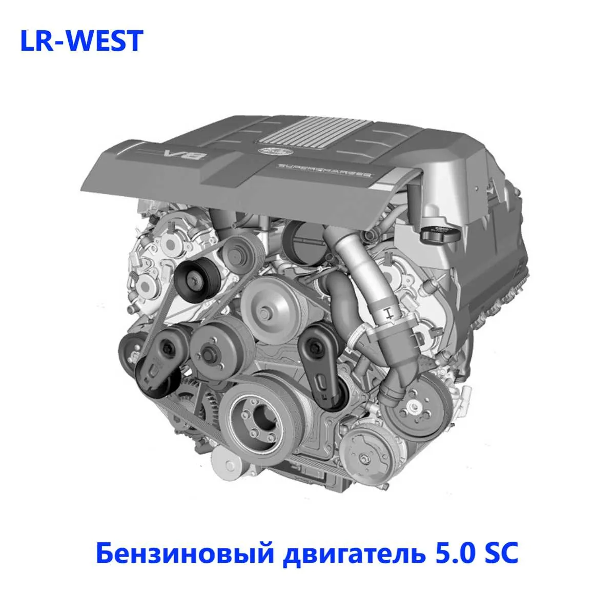 2014 Range Rover 5.0 Supercharged Belt Diagram