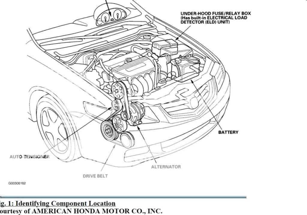 Your 2008 Acuras Lifeline Why A Genuine Serpentine Belt Matters And How To Choose The Right One